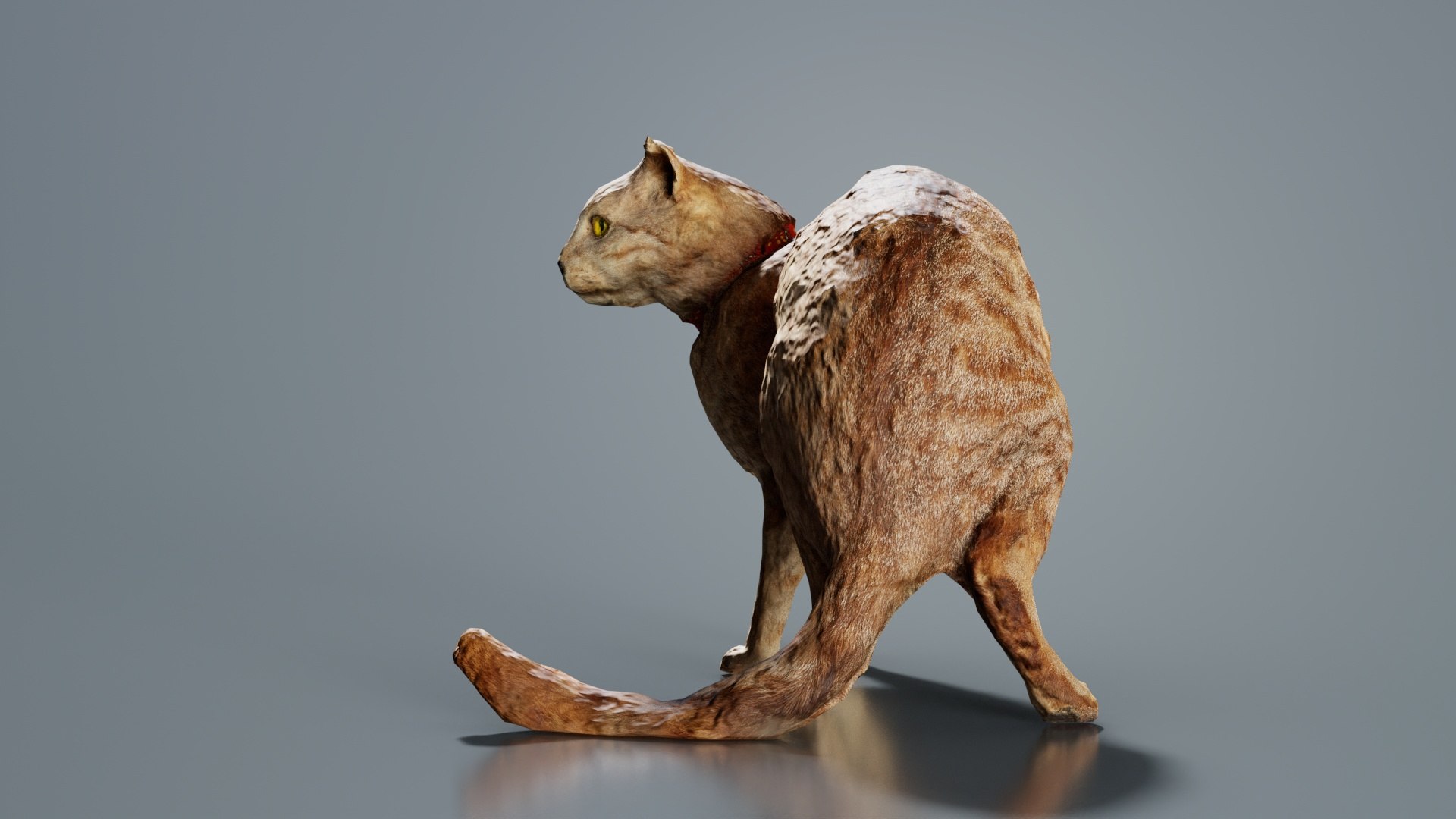 Cat Remastered Model - TurboSquid 2359795
