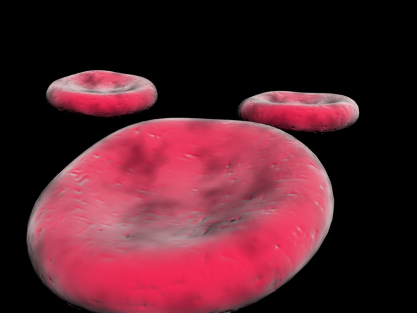 3ds Max Realistic Blood Cells