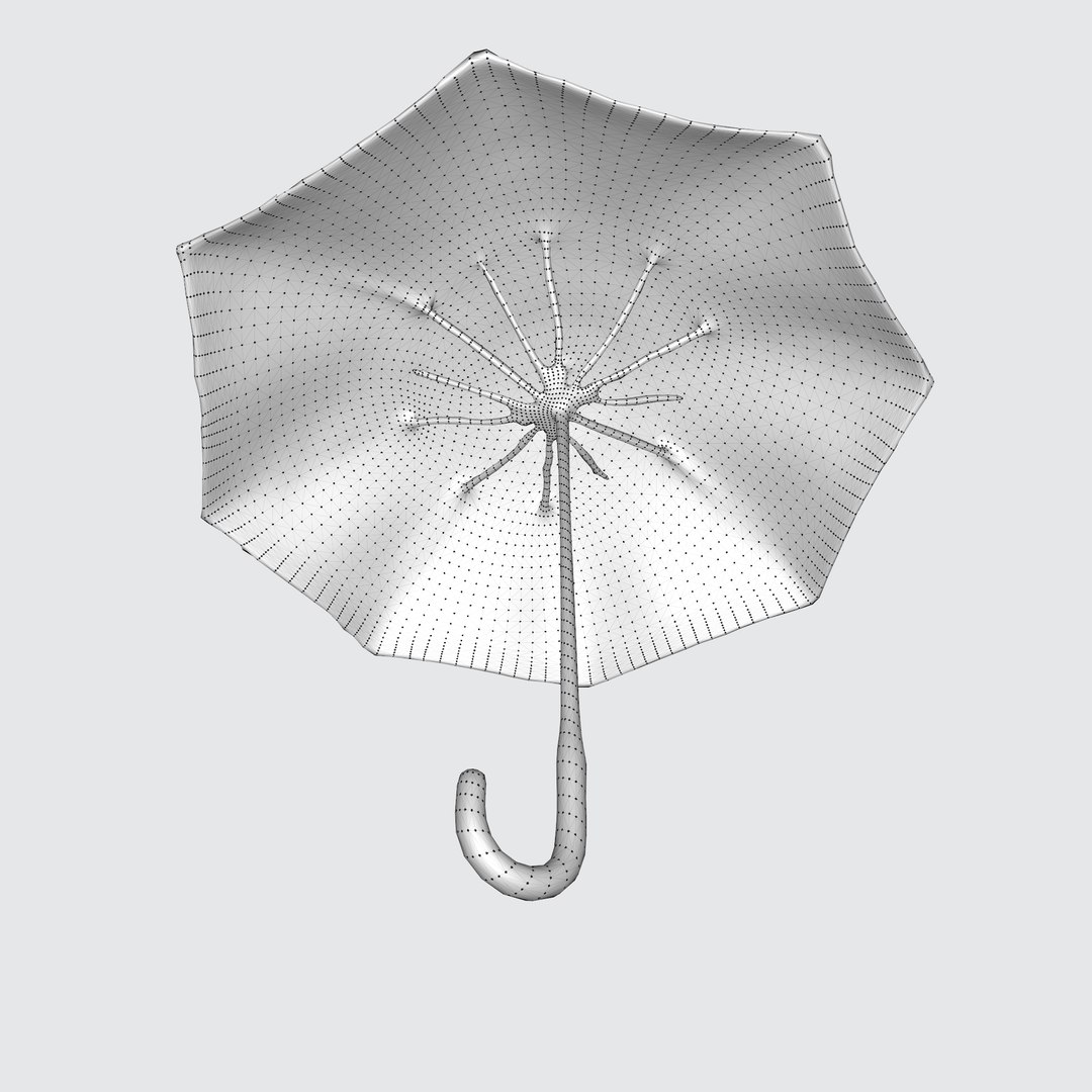 Traditional Umbrella 3D Model - TurboSquid 2269500