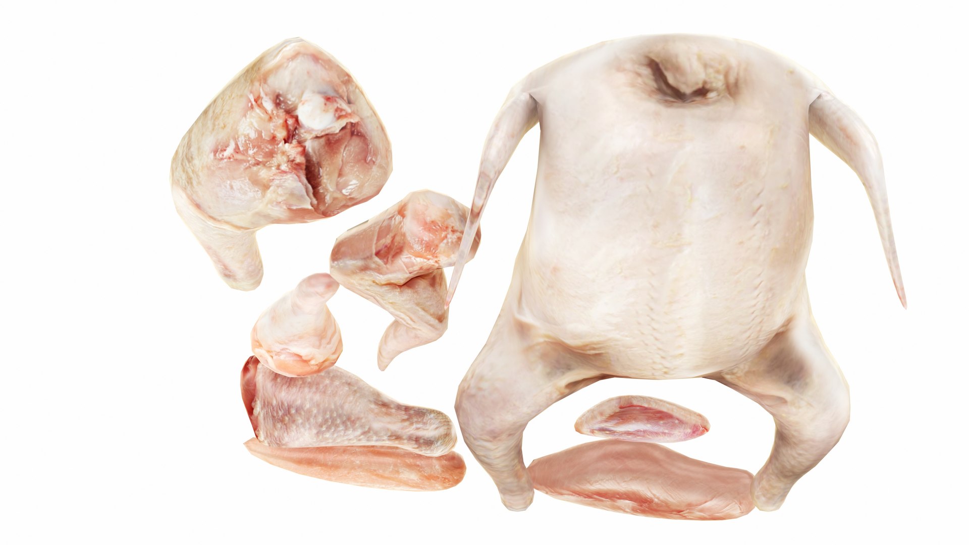 Fresh Chicken Cuts 8 In 1 3D Model - TurboSquid 2389896