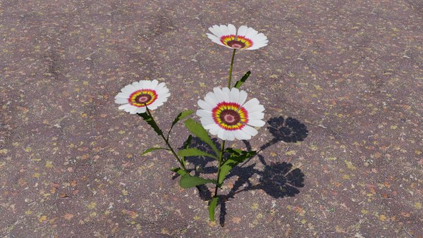 3D Flowers Pack - TurboSquid 2031057
