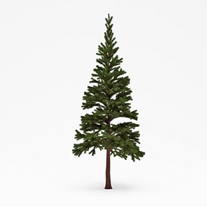 Pine Tree 3D Models for Download | TurboSquid