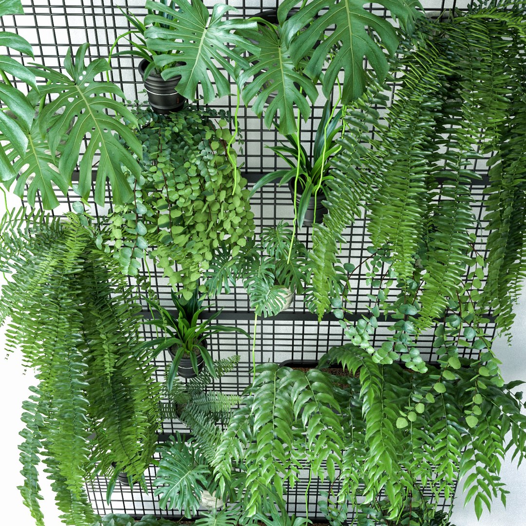 Wall Plant 3 3D Model - TurboSquid 1882578