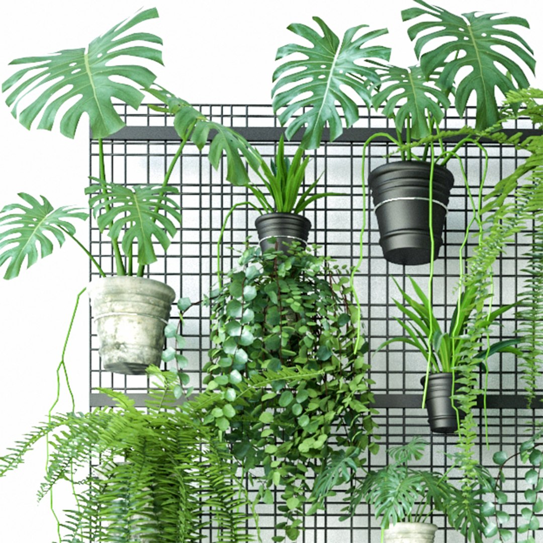 Wall Plant 3 3D Model - TurboSquid 1882578