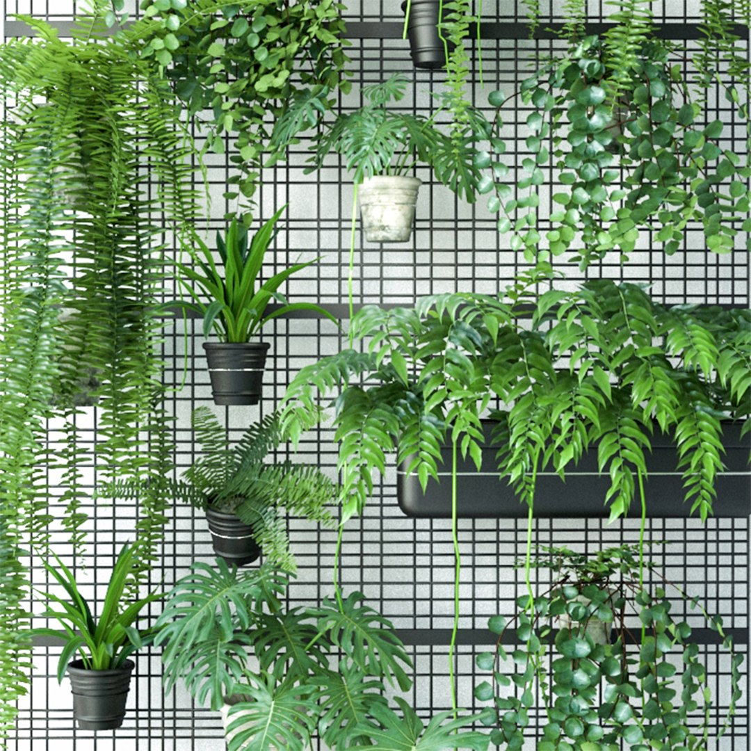 Wall Plant 3 3D Model - TurboSquid 1882578