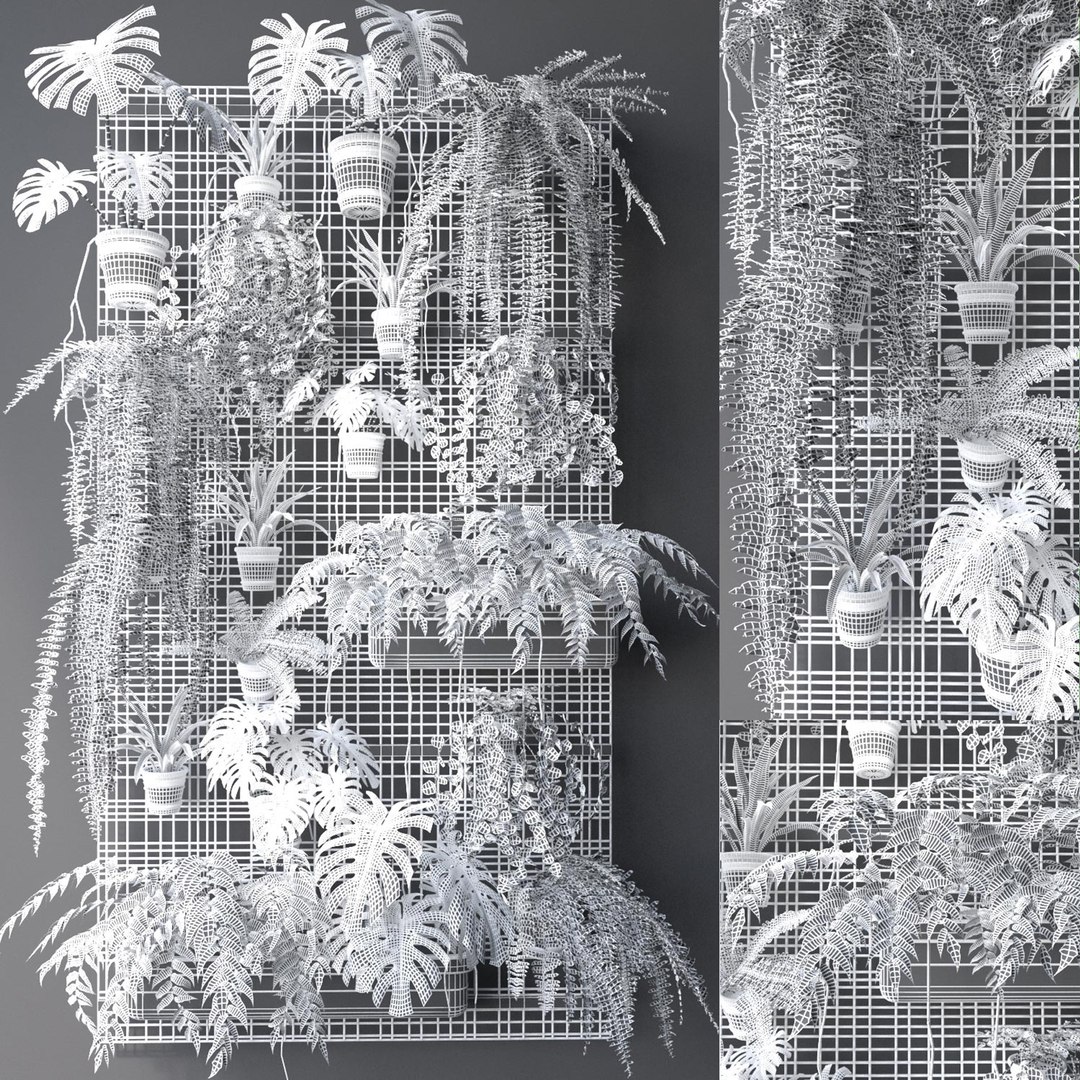 Wall Plant 3 3D Model - TurboSquid 1882578