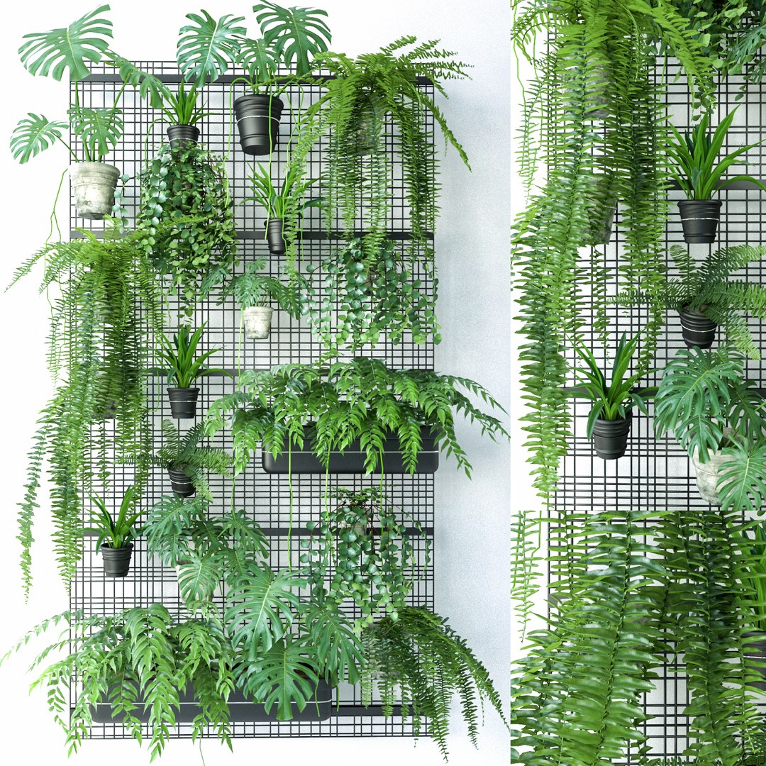 Wall Plant 3 3D Model - TurboSquid 1882578