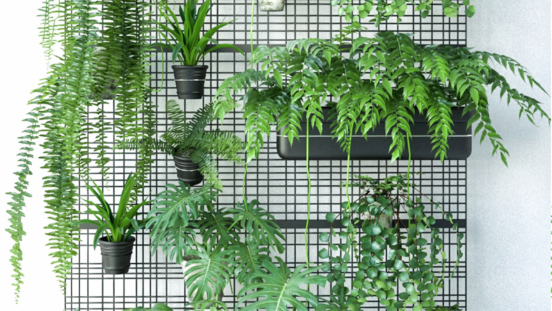 Wall Plant 3 3D Model - TurboSquid 1882578