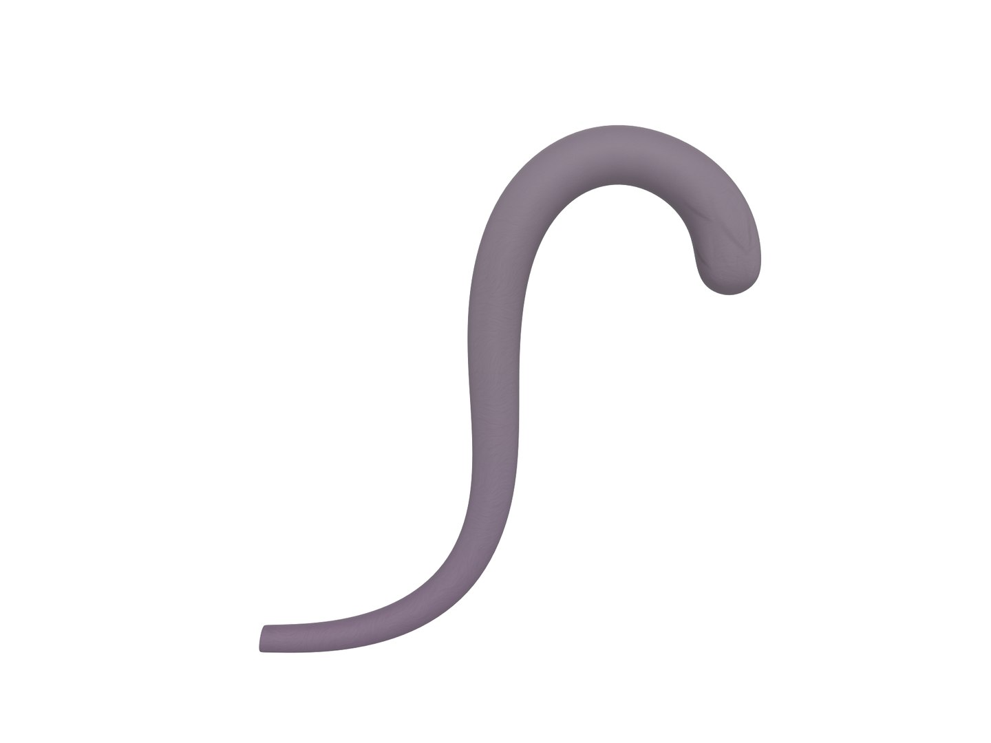 3D Cat Tail Model - TurboSquid 1509621