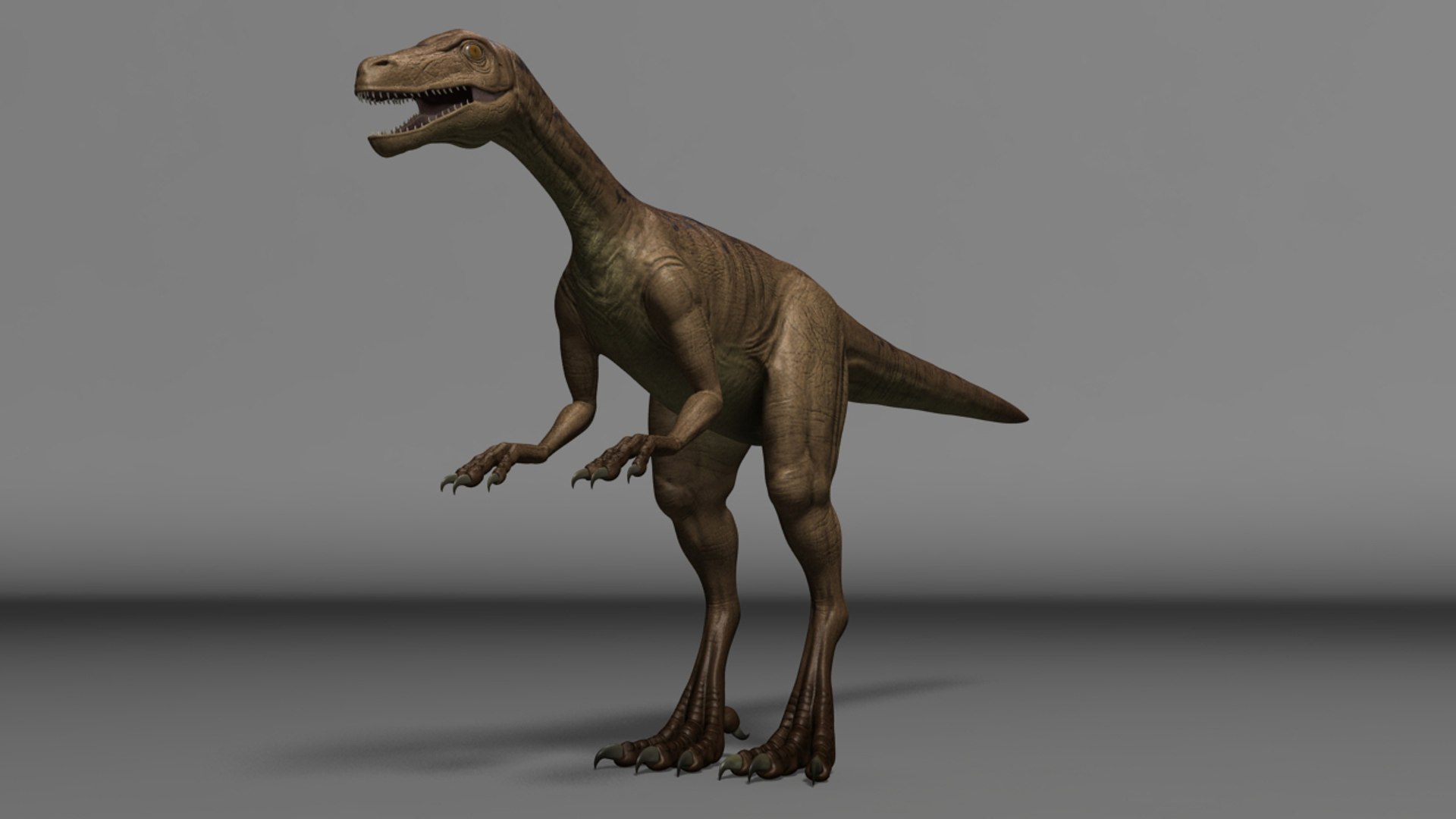 Raptor Rap 3d Obj