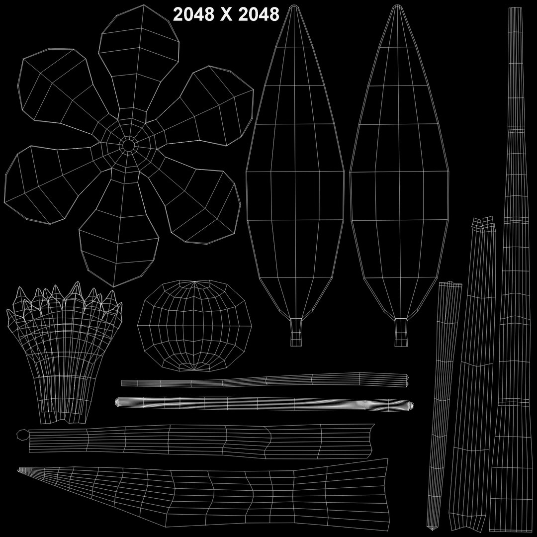3d Allogamy Autogamy Model