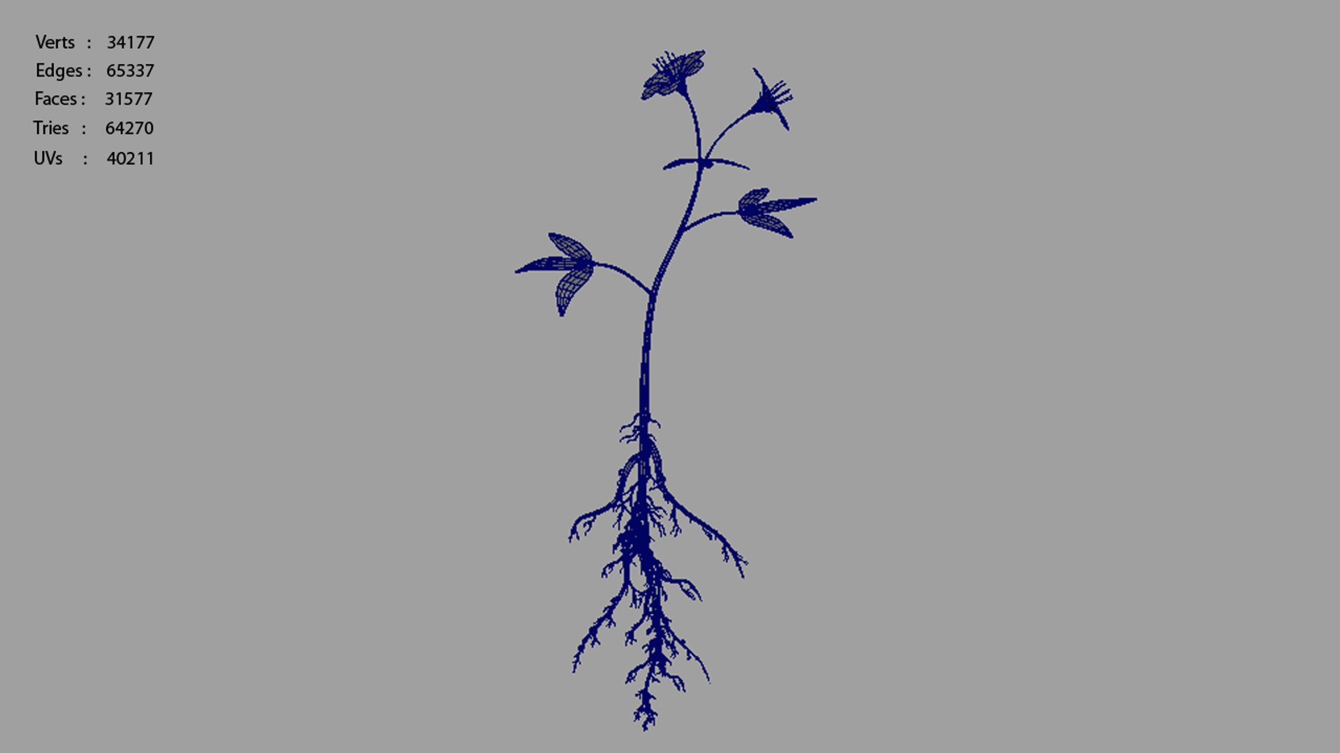 3d Allogamy Autogamy Model