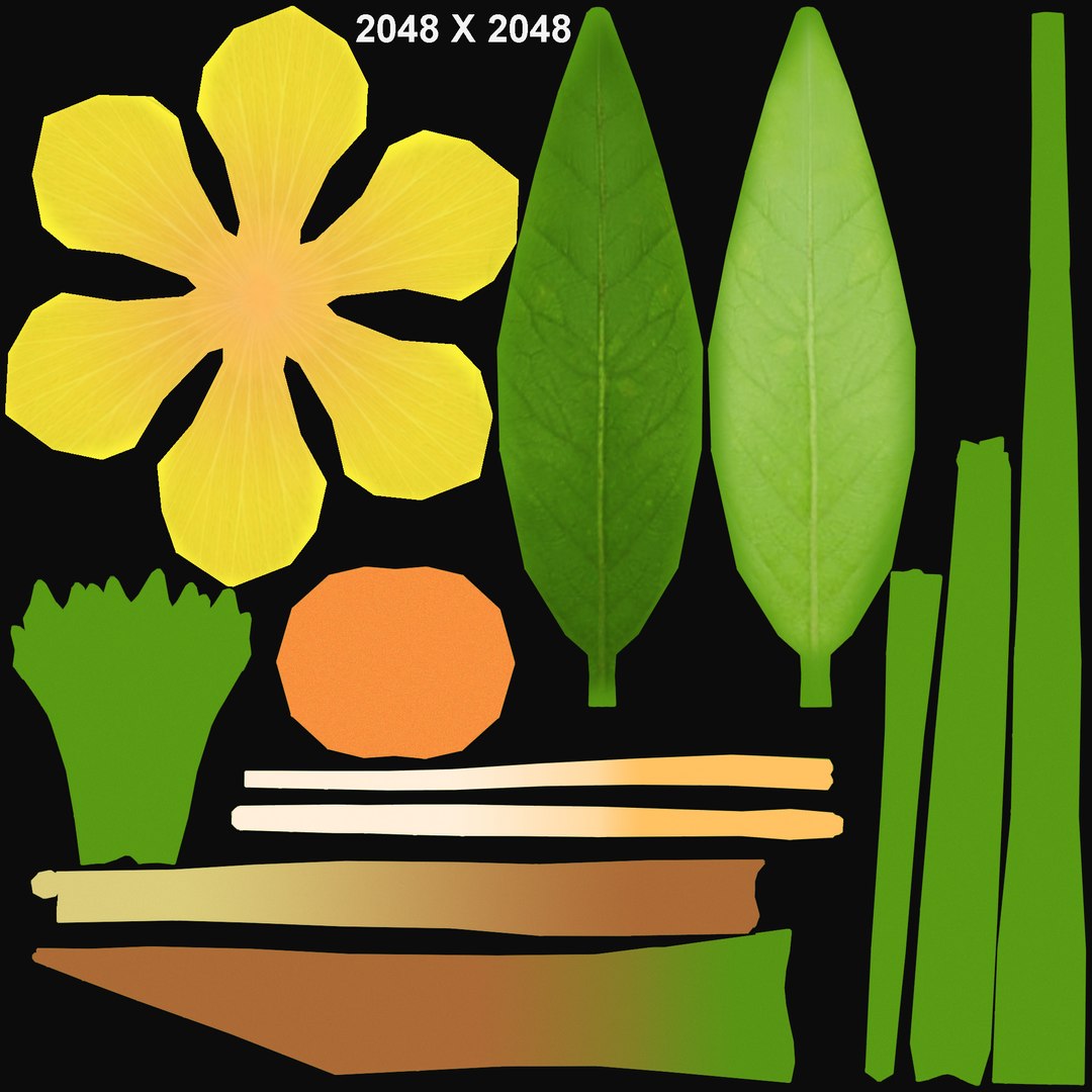 3d Allogamy Autogamy Model