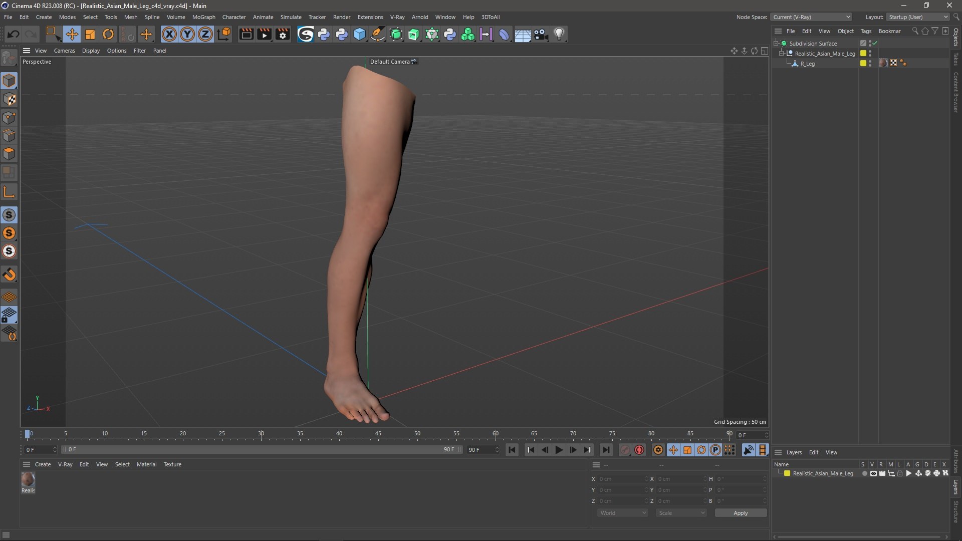 3D Model Realistic Asian Male Leg - TurboSquid 2295999
