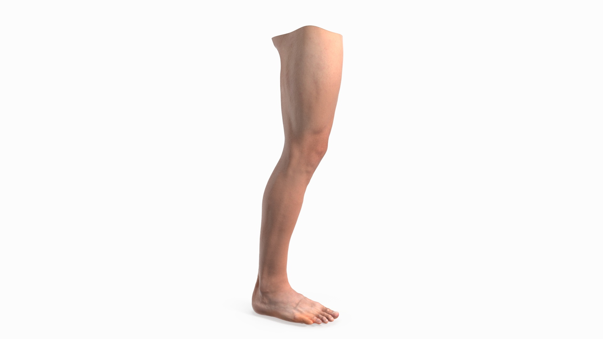 3D Model Realistic Asian Male Leg - TurboSquid 2295999