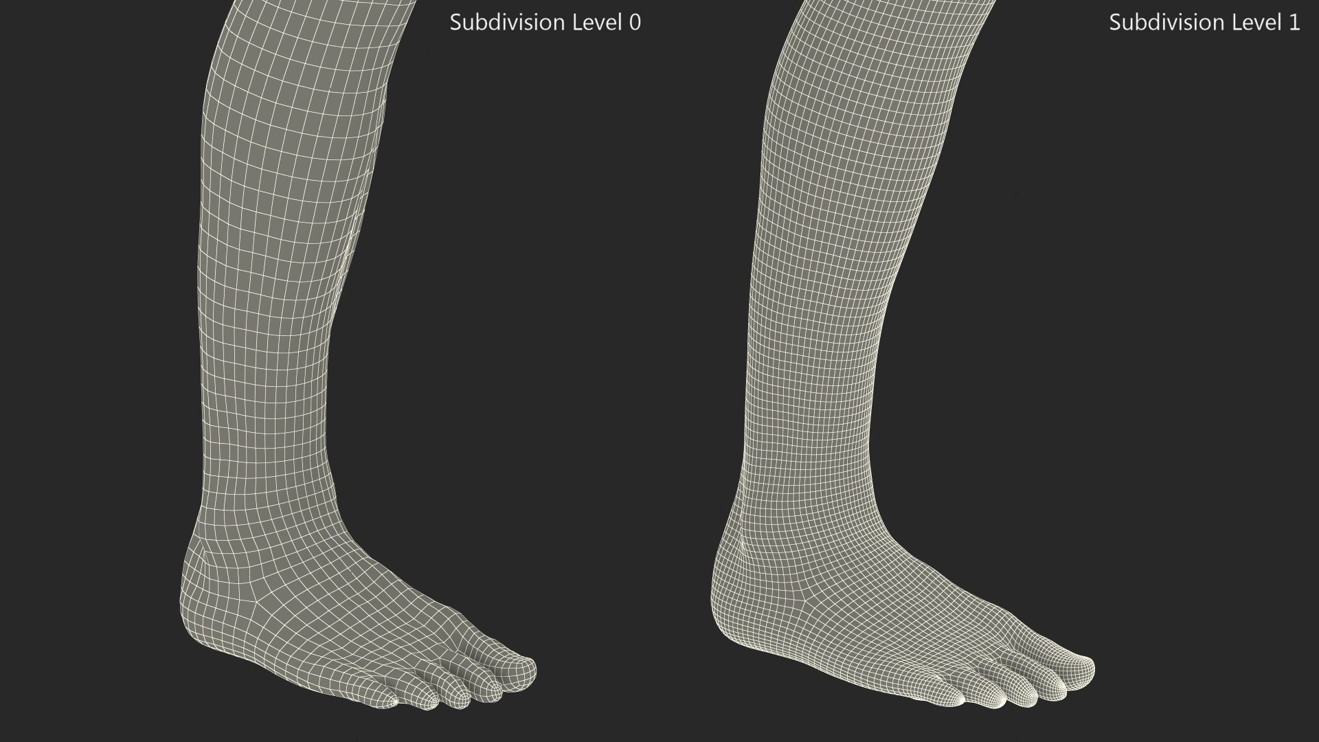 3D Model Realistic Asian Male Leg - TurboSquid 2295999