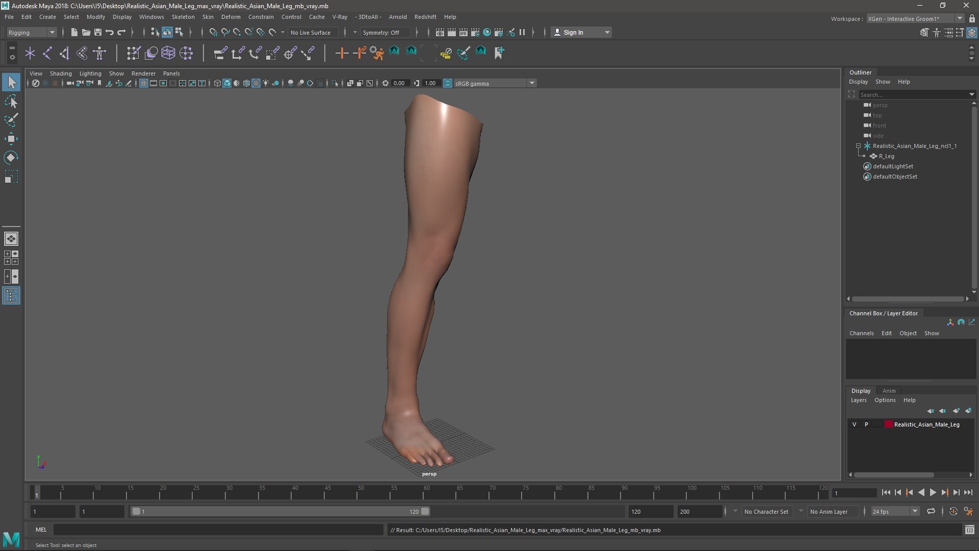 3D Model Realistic Asian Male Leg - TurboSquid 2295999