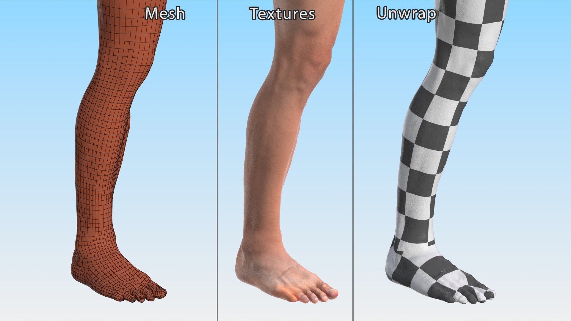 3D Model Realistic Asian Male Leg - TurboSquid 2295999