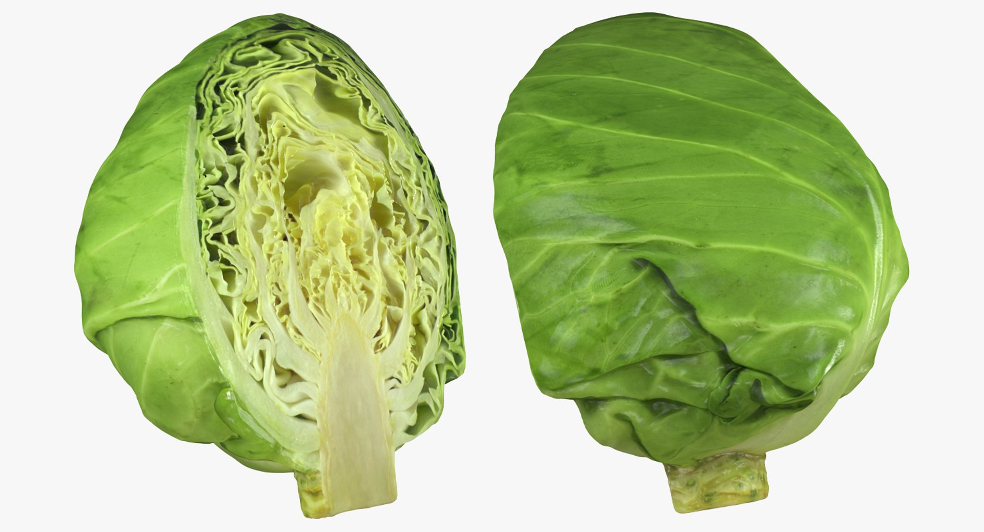 Cabbage half 3D model - TurboSquid 1165823