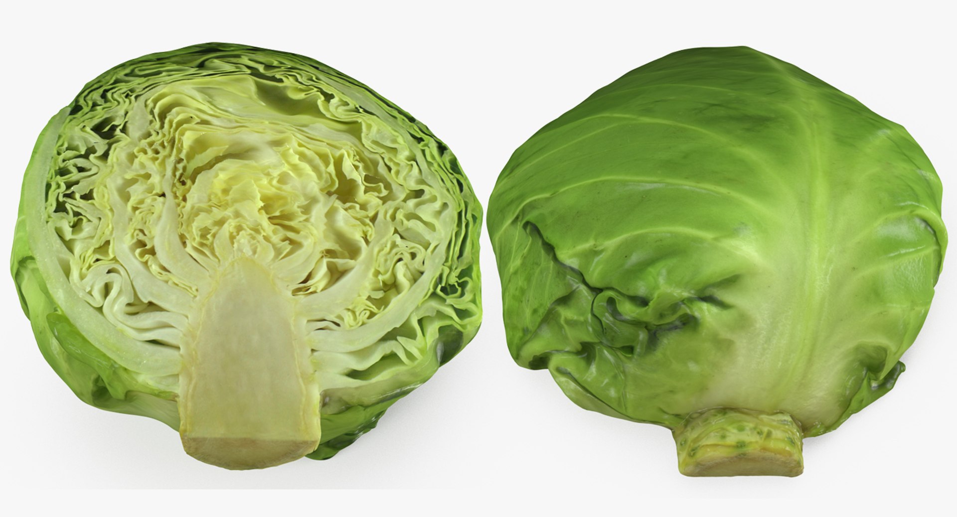 Cabbage half 3D model - TurboSquid 1165823