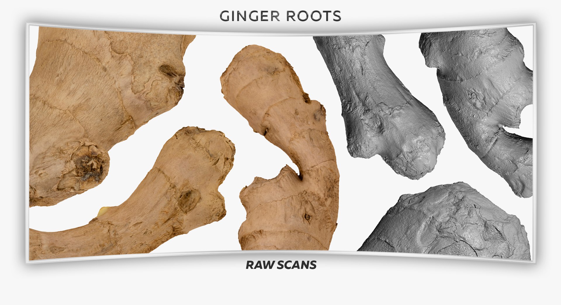 3D Ginger Roots Collection 02 - 3 Models RAW Scans - TurboSquid 1836368