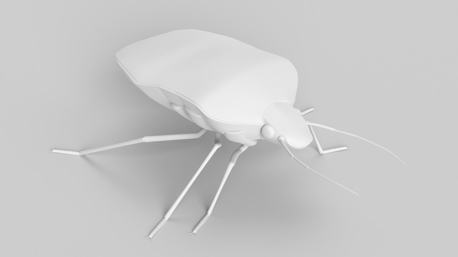 Bugs Insects Snail 3D - TurboSquid 1677806