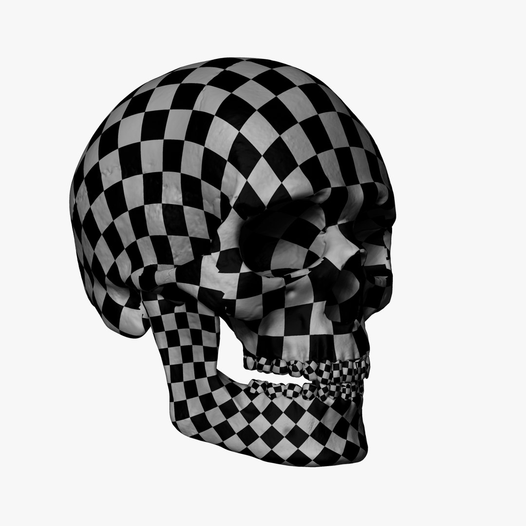 3ds Caucasoid Male Skull Zbrush
