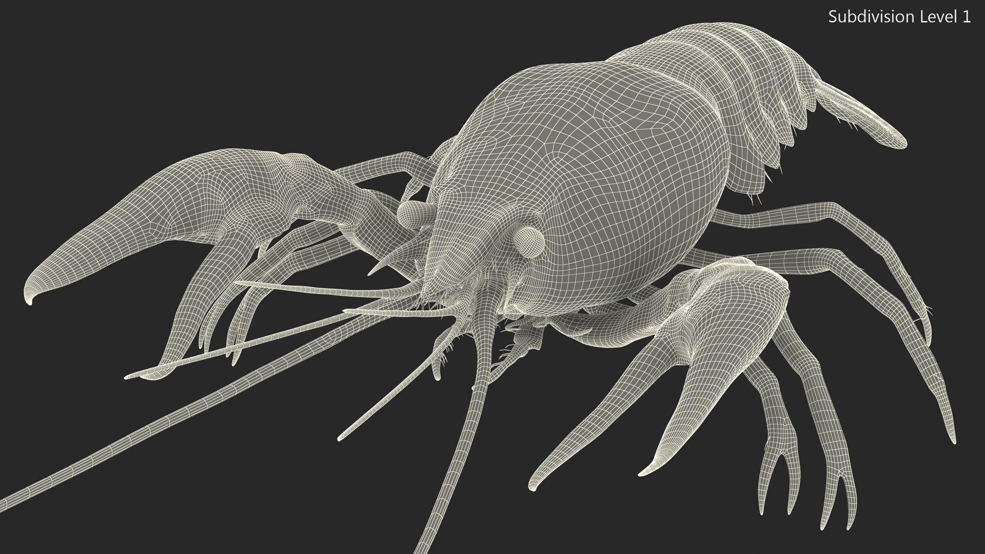 Crayfish Grey 3D model - TurboSquid 2163481