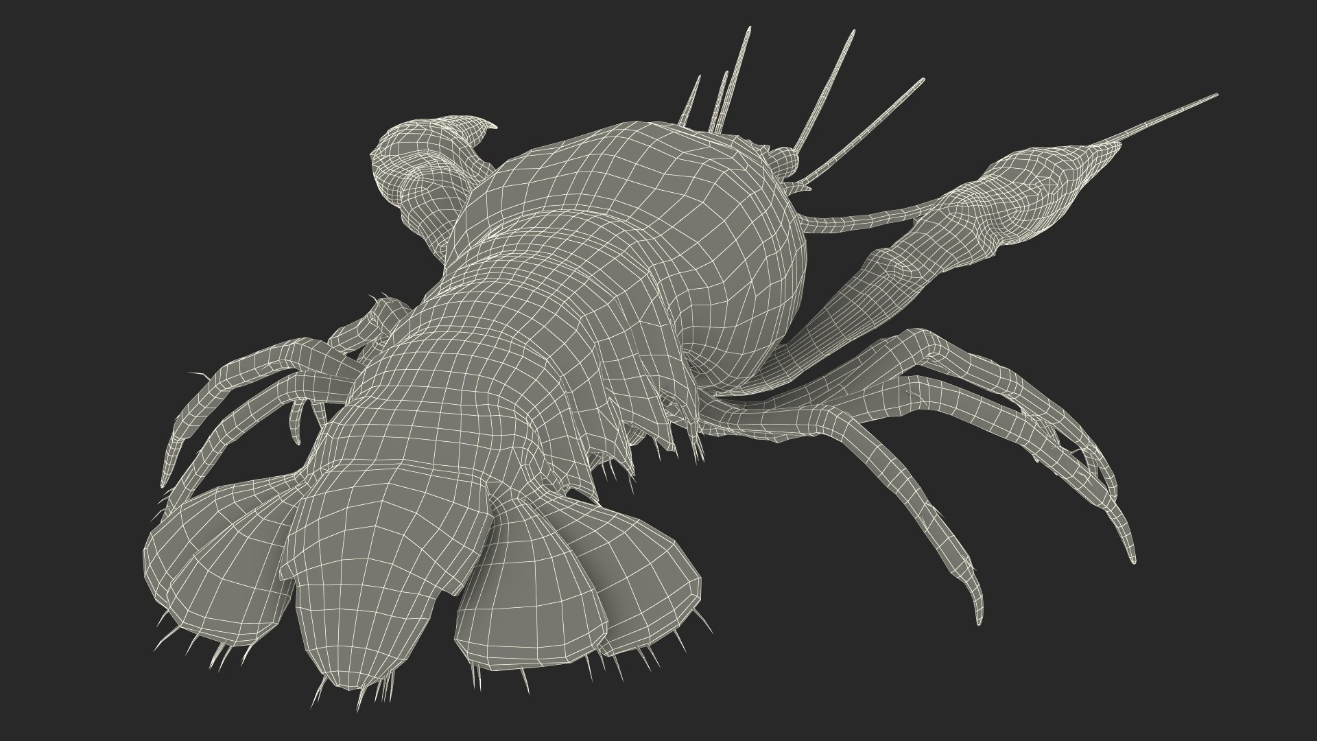 Crayfish Grey 3D model - TurboSquid 2163481