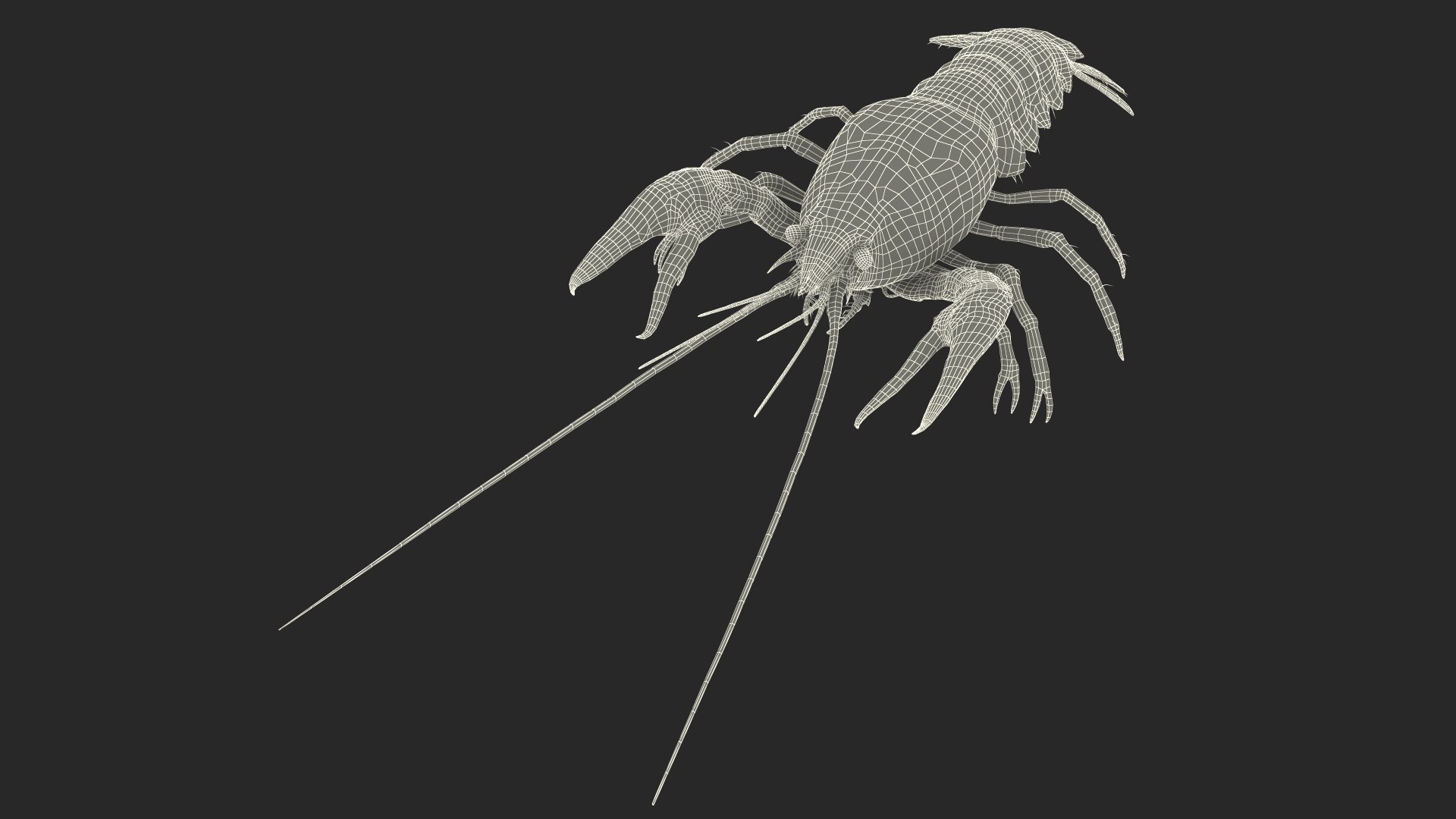 Crayfish Grey 3D model - TurboSquid 2163481