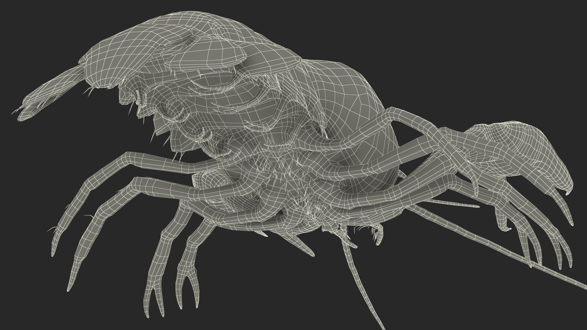 Crayfish Grey 3D model - TurboSquid 2163481