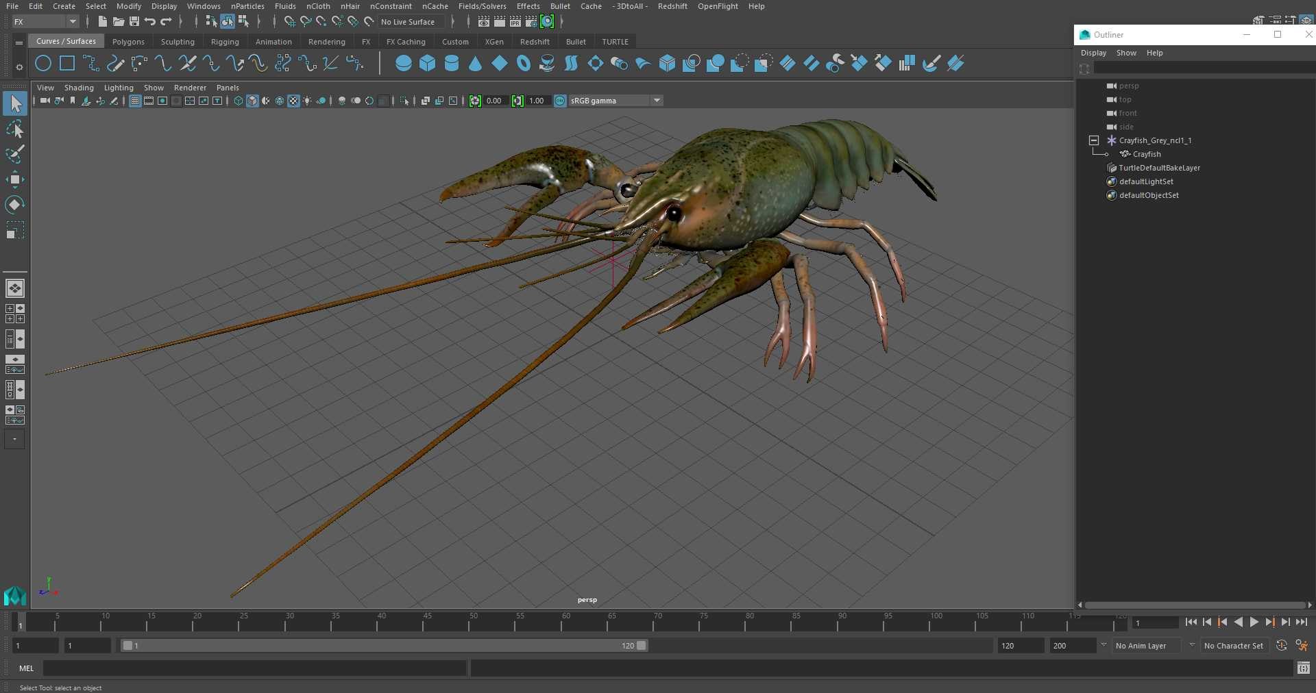 Crayfish Grey 3D model - TurboSquid 2163481