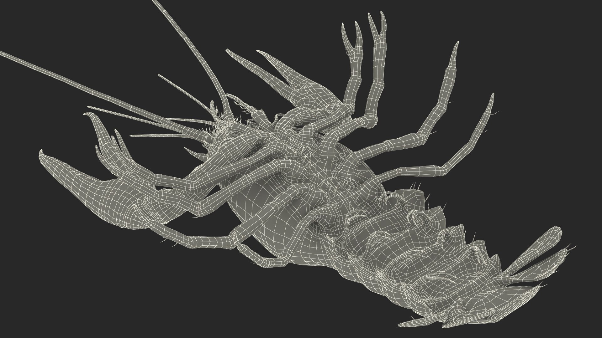 Crayfish Grey 3D model - TurboSquid 2163481