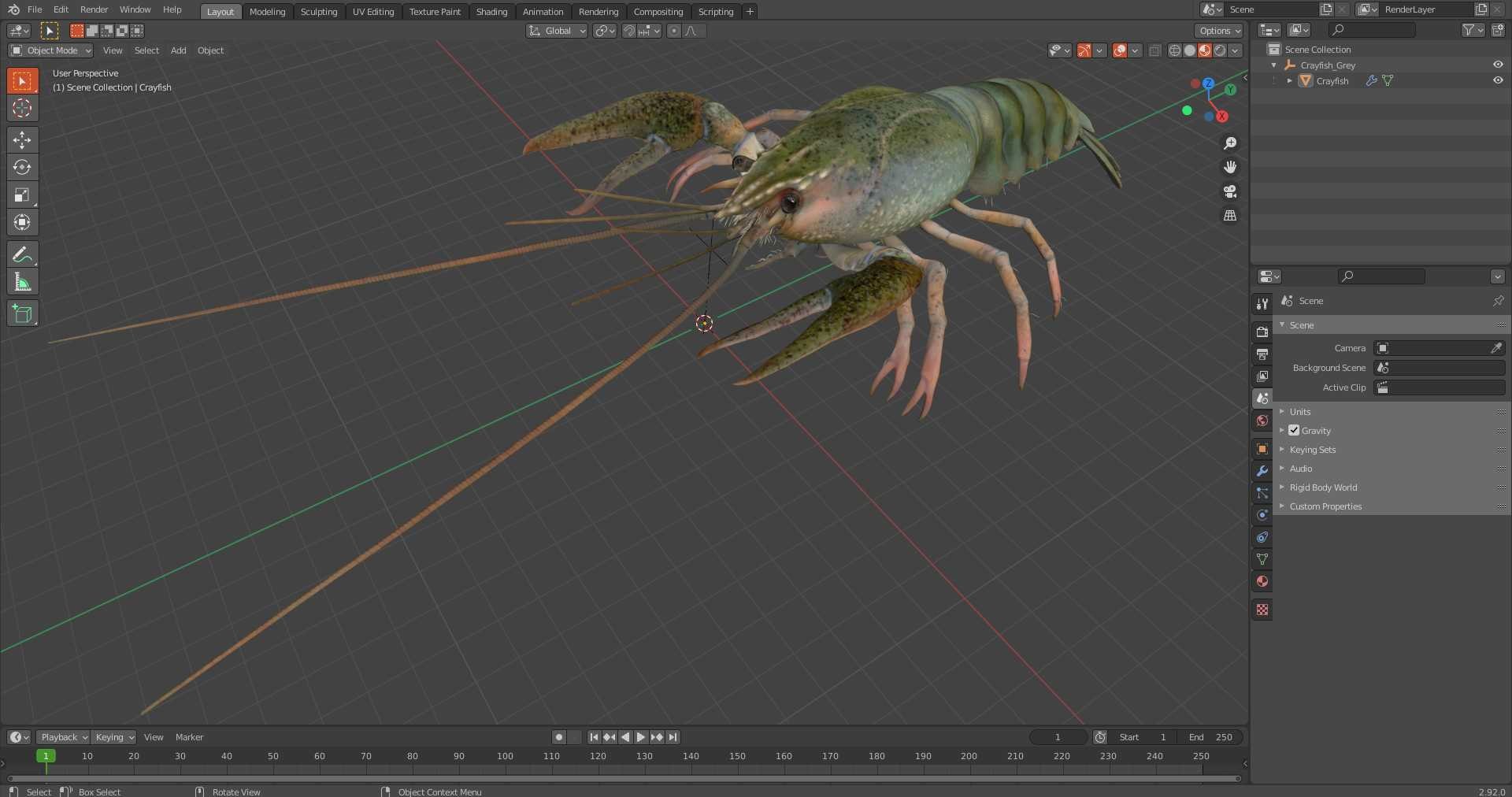 Crayfish Grey 3D model - TurboSquid 2163481