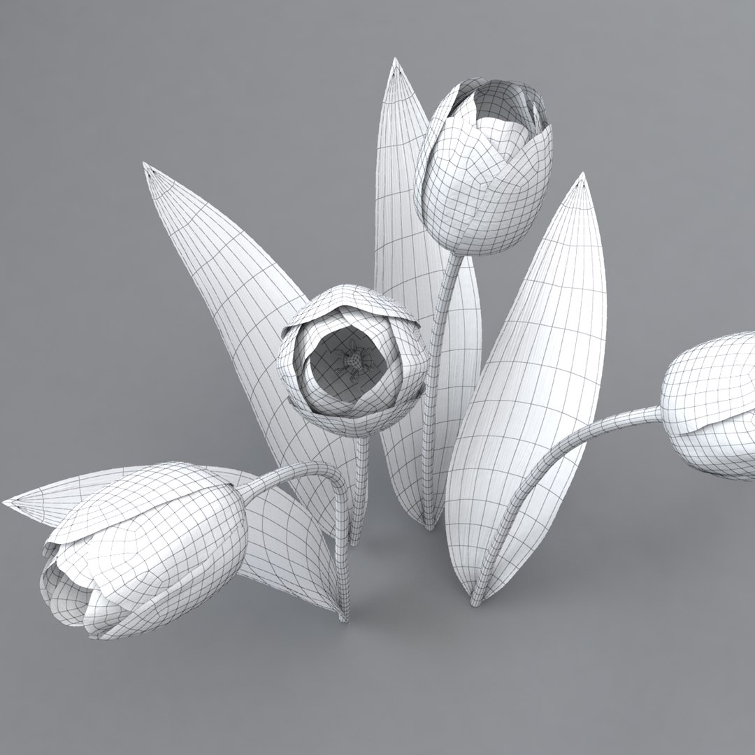 Tulip realistic 3D - TurboSquid 1255076
