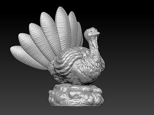 Turkey 3D Models for Download | TurboSquid