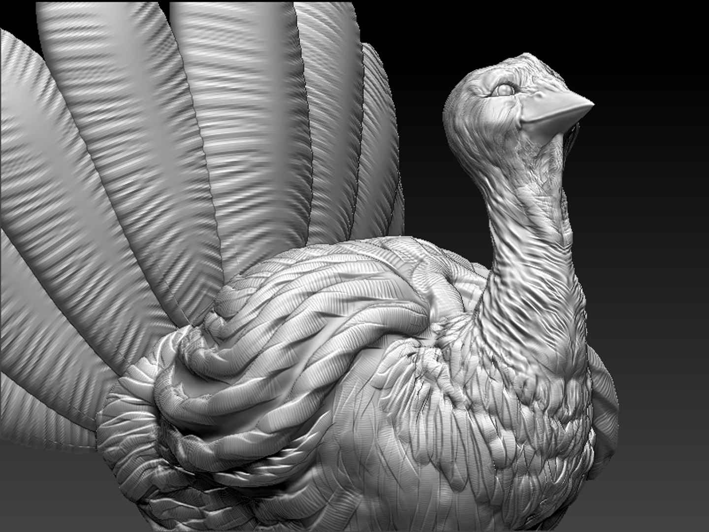 Thanks Giving Turkey 3d Model