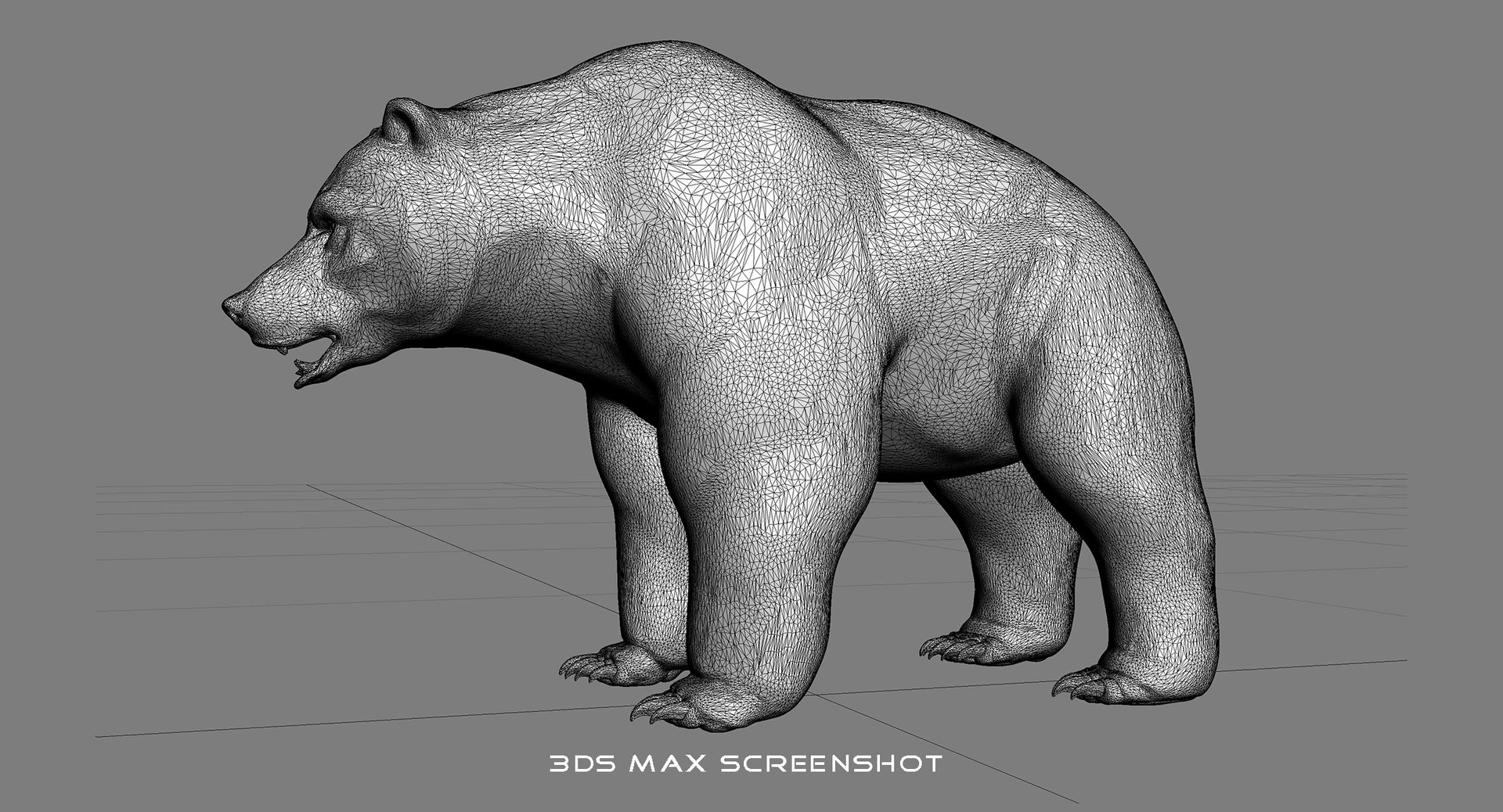 Brown Bear Grizzly Base Mesh 3d Model