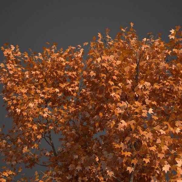 3D tree nature - TurboSquid 1676987