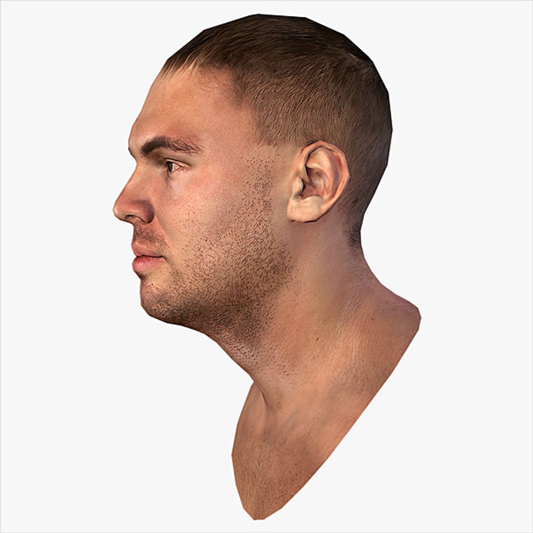 3d Realistic Human Male Head Model