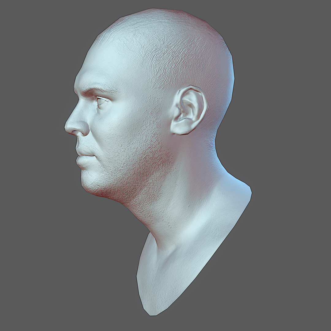 3d Realistic Human Male Head Model