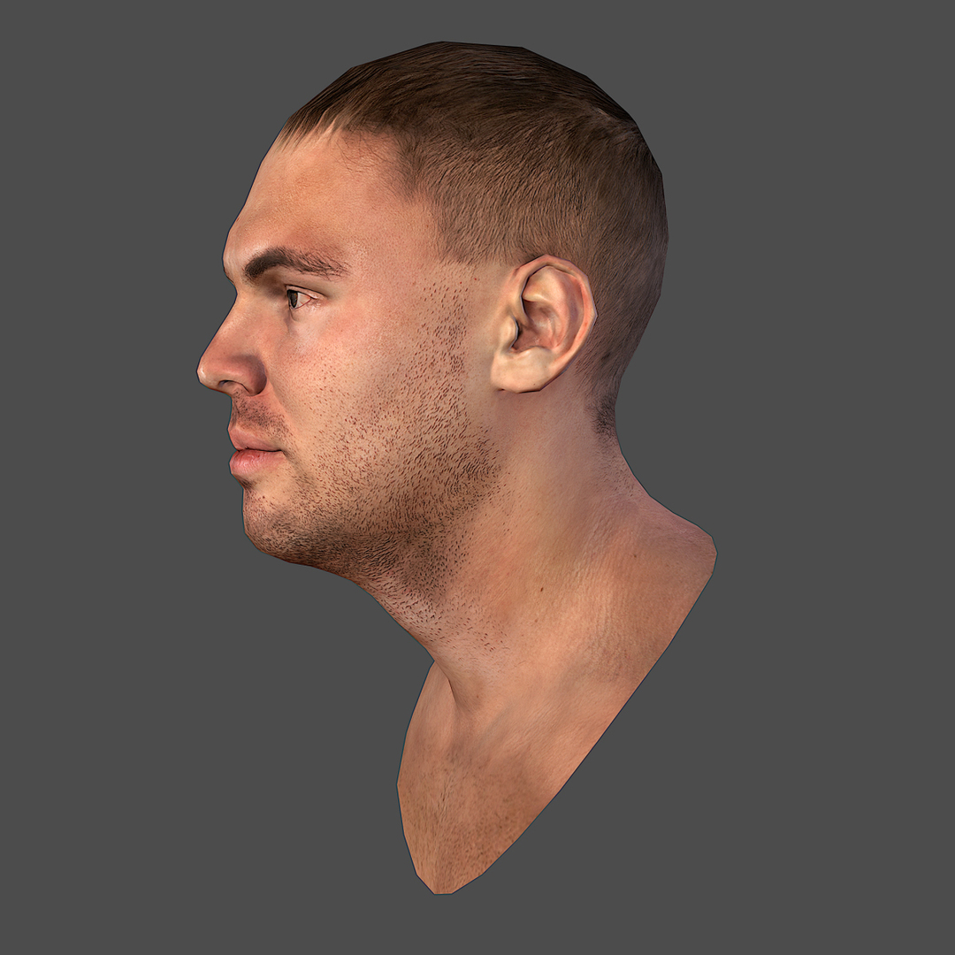 3d Realistic Human Male Head Model