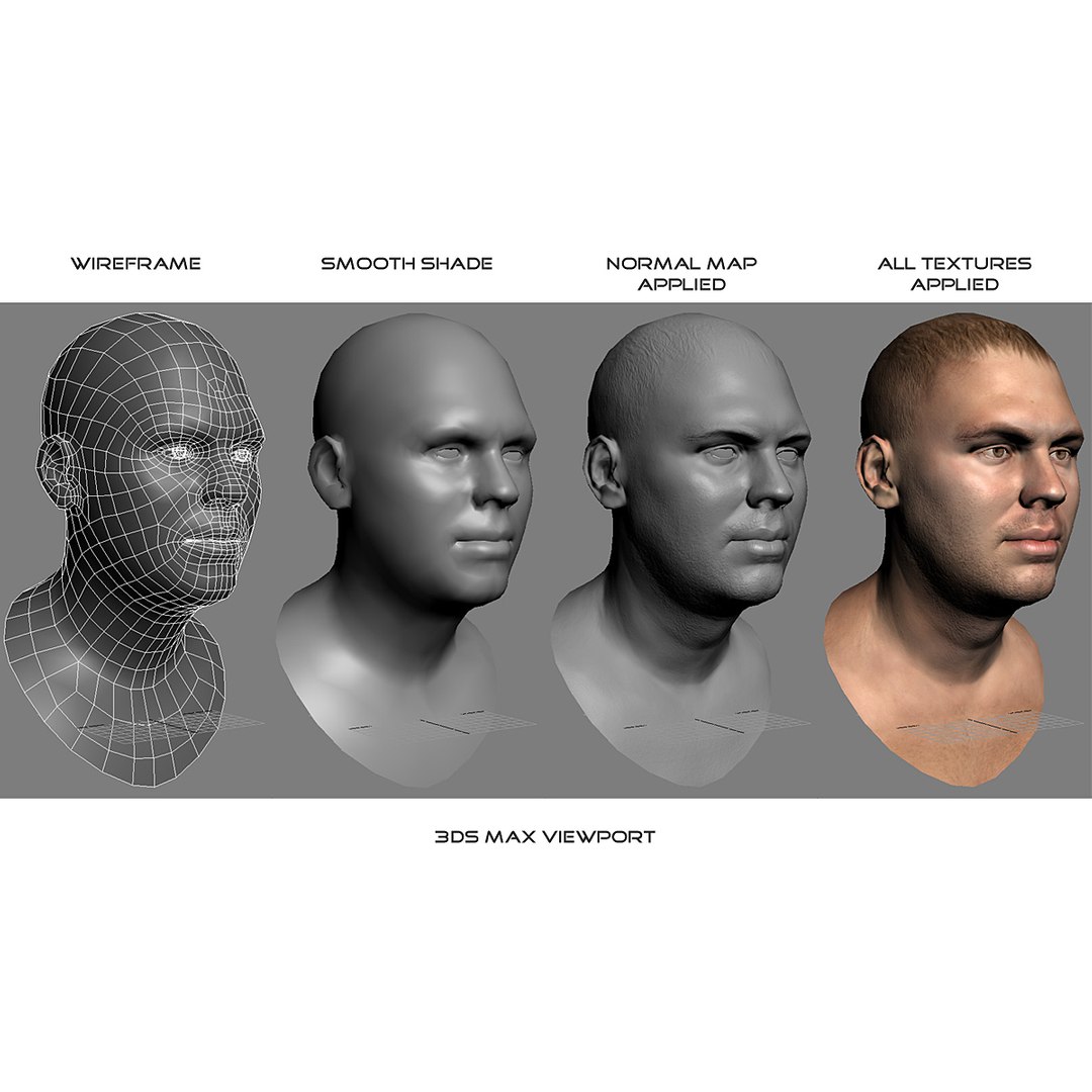 3d Realistic Human Male Head Model