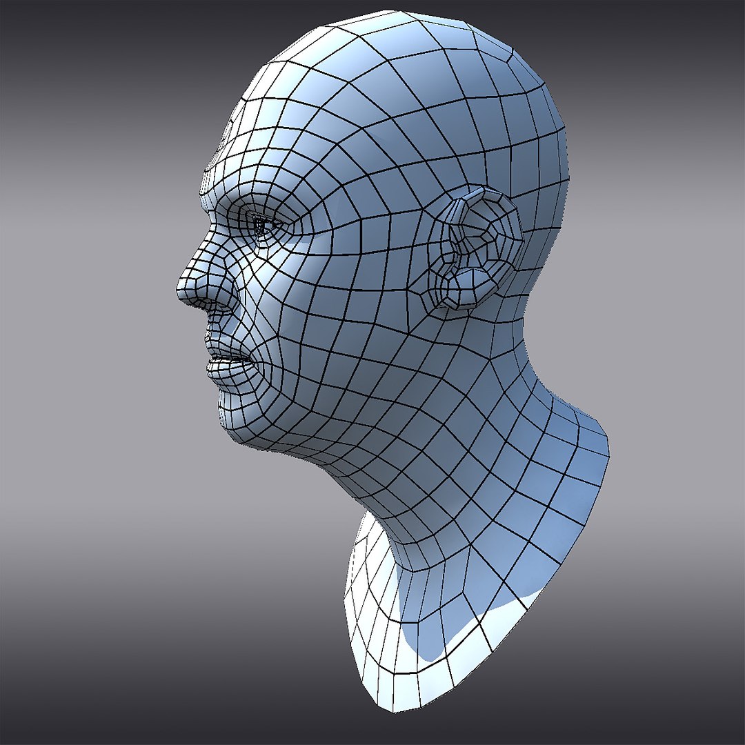 3d Realistic Human Male Head Model