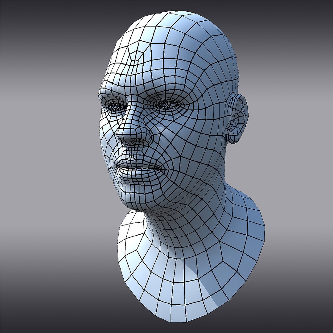3d Realistic Human Male Head Model