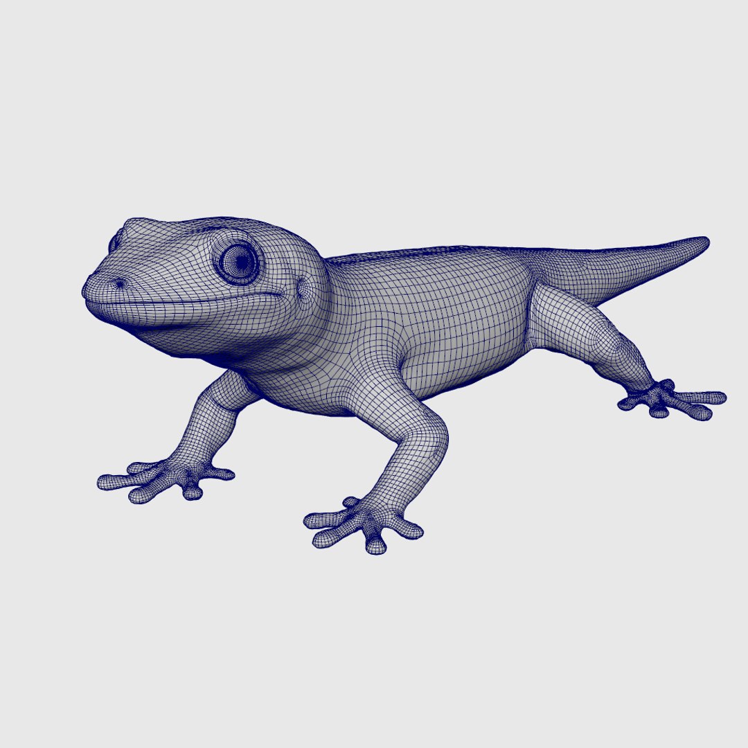 3D model gecko rigged - TurboSquid 1616251