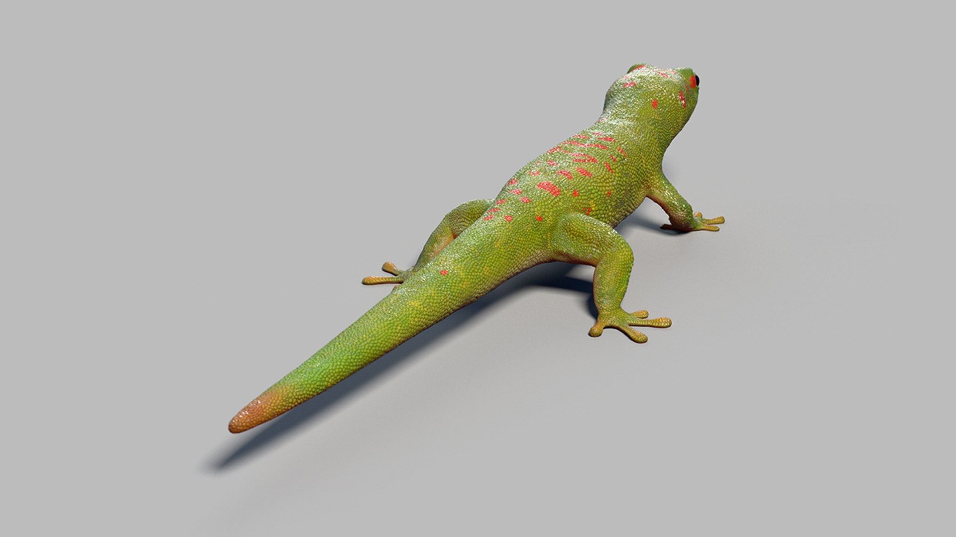 3D model gecko rigged - TurboSquid 1616251
