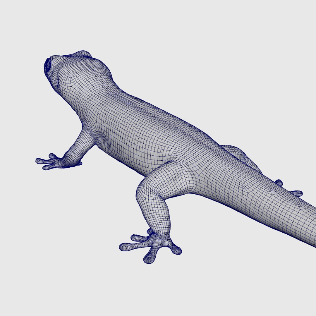 3D model gecko rigged - TurboSquid 1616251