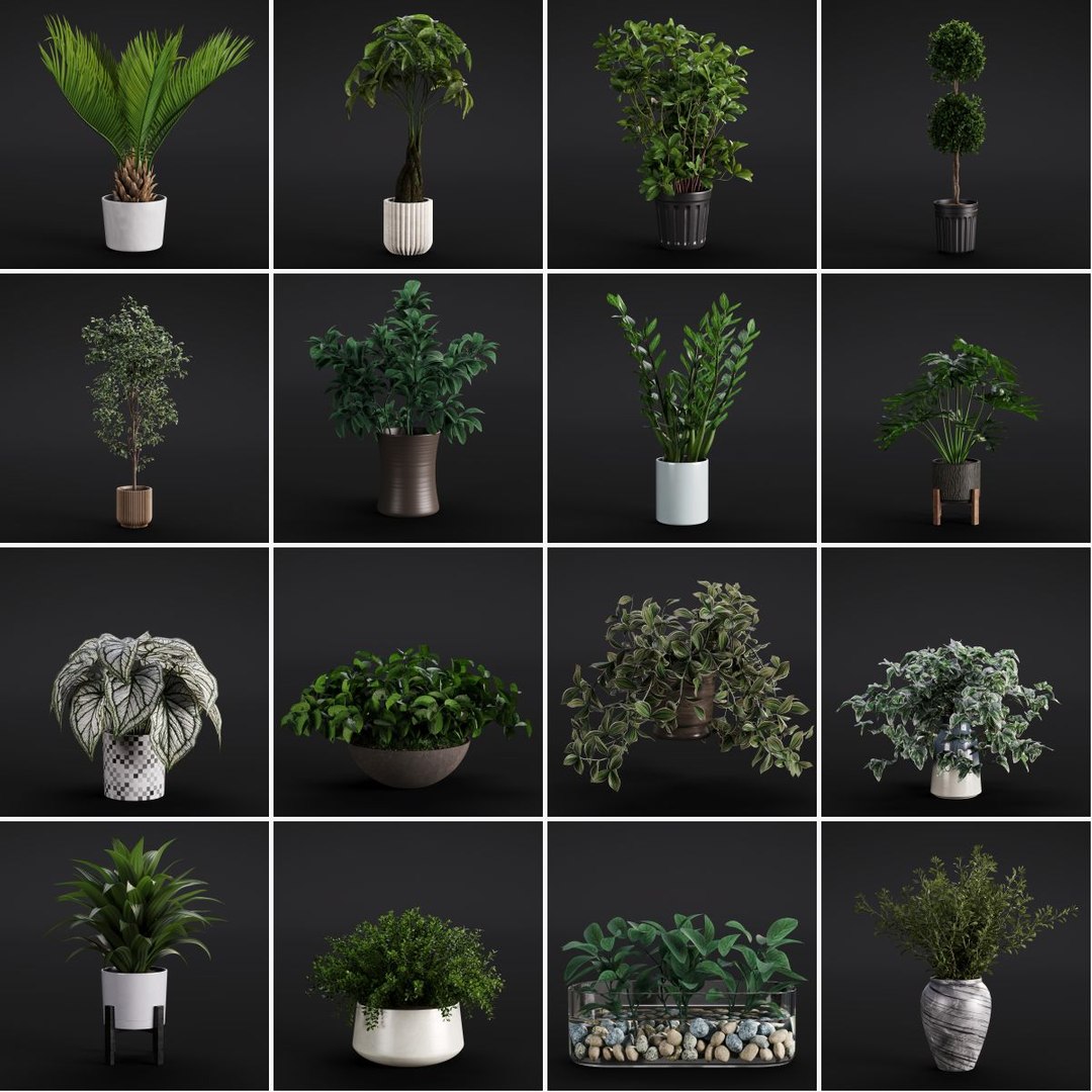 3D Model Archmodels Vol 280 For 3dsmax - TurboSquid 2186917