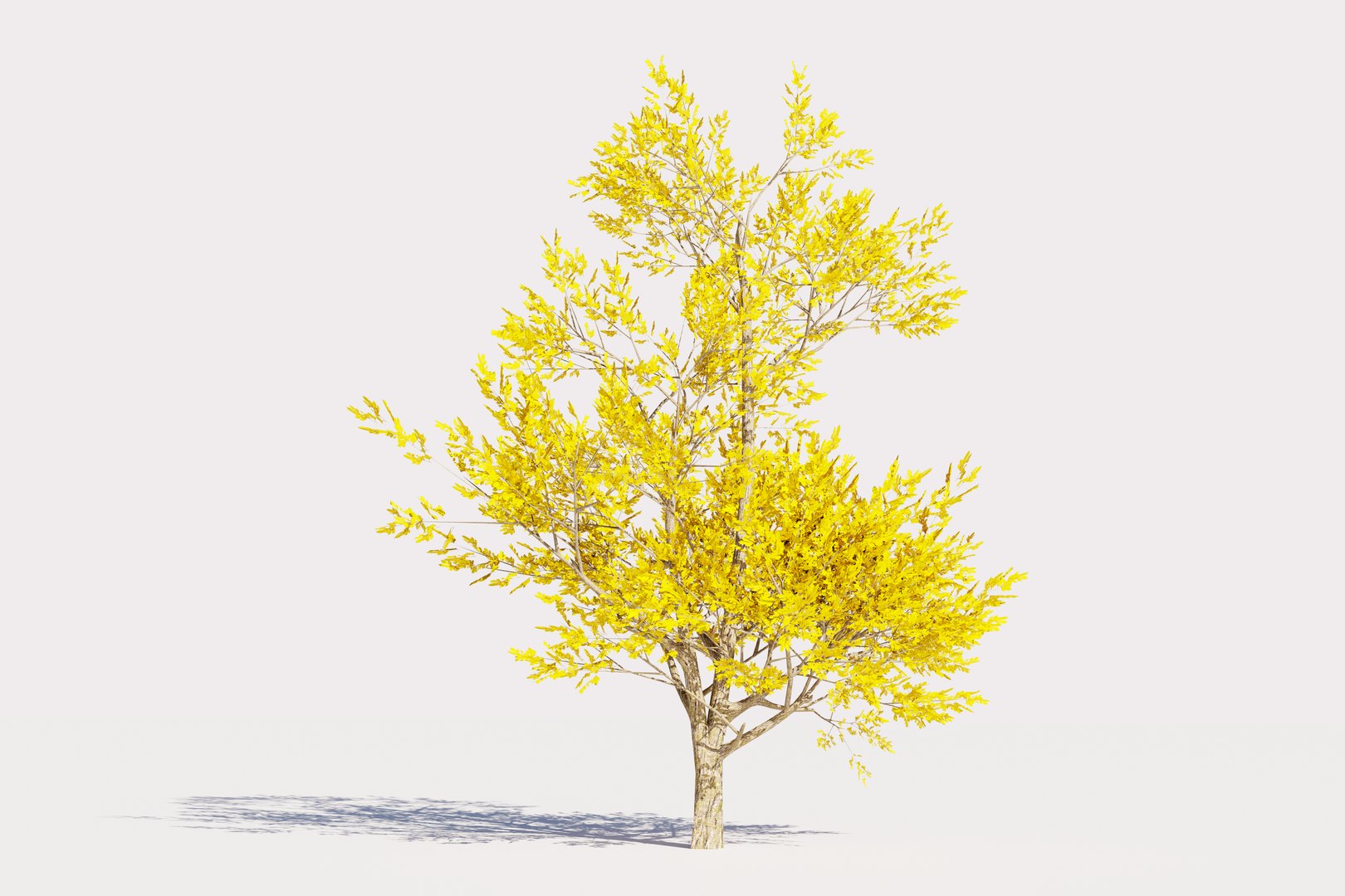 3D Model 4 Yellow Tree - TurboSquid 2250070